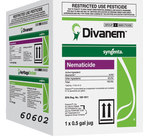 Divanem – Turf Division